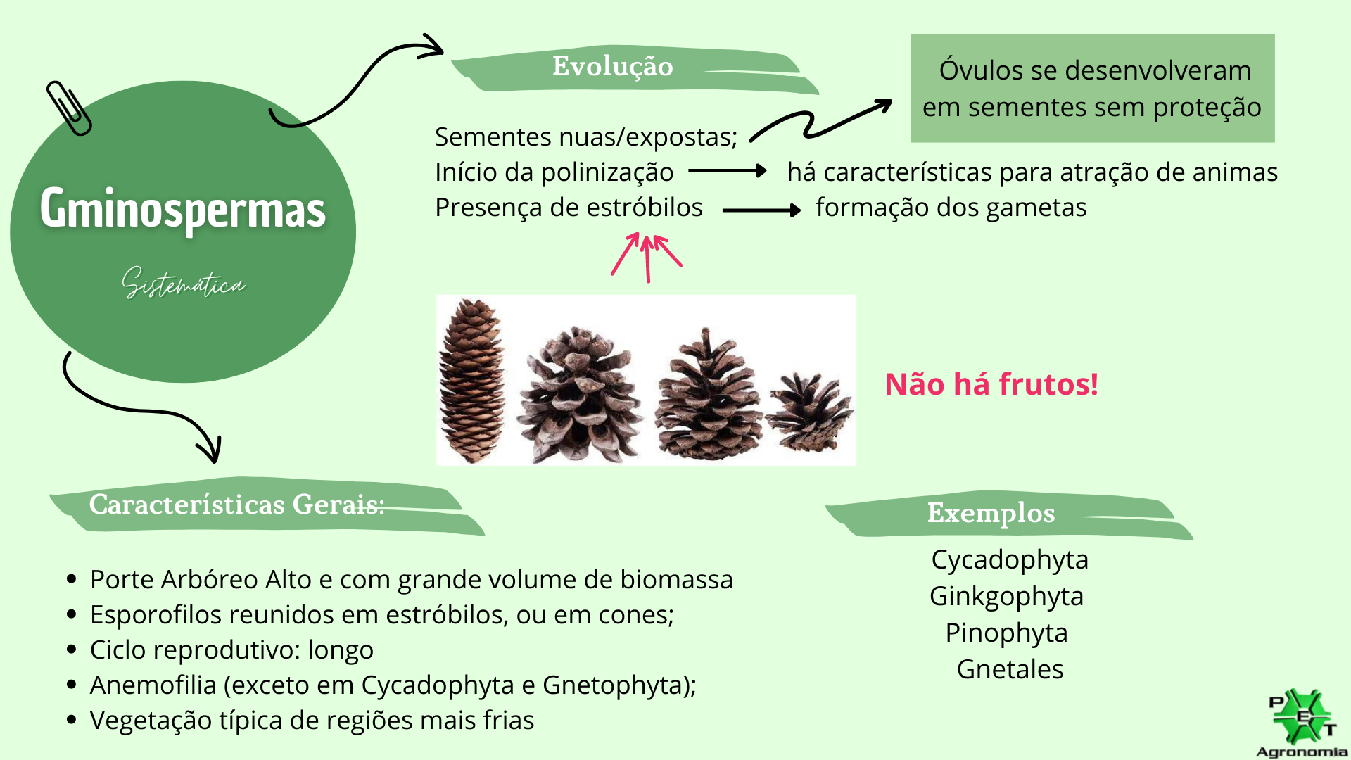 Sistemática e organografia vegetal :: petonline